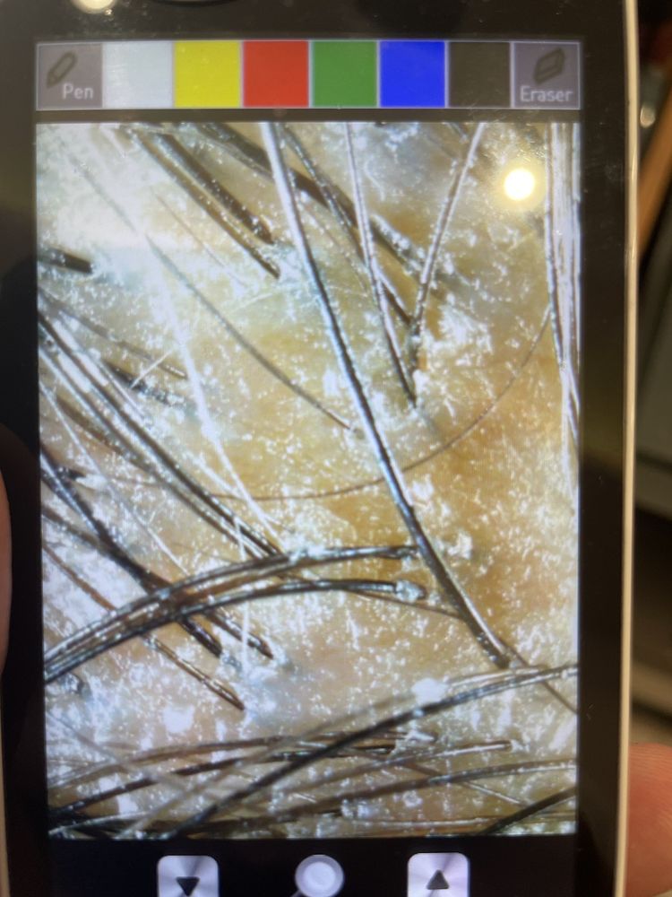 PHILLIP’S HAIR SALON - Updated December 2025 - 107 Photos & 137 Reviews ...