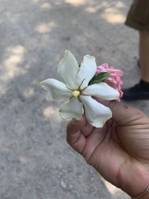 JESSE DURKO’S NURSERY - 96 Photos & 34 Reviews - 5151 SW 70th Ave ...