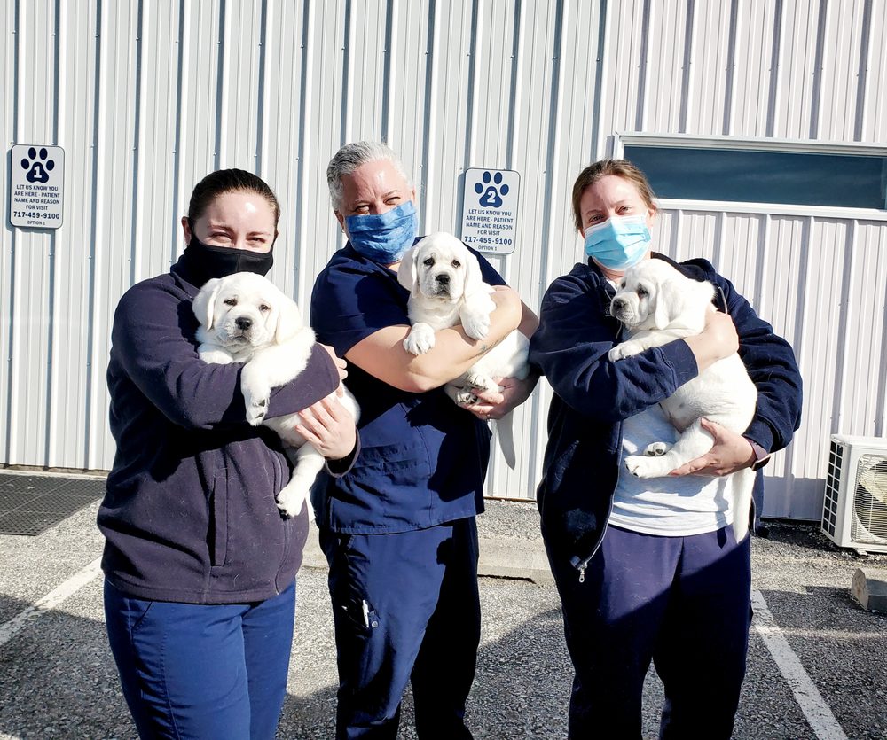 COMPASSION ANIMAL HOSPITAL - Updated September 2025 - 23 Photos - 1665 ...