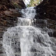CHESTNUT RIDGE PARK - 155 Photos & 50 Reviews - Disc Golf - 6121 ...