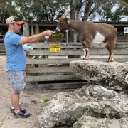 MARANDO FARMS & RANCH - 236 Photos & 83 Reviews - 5151 SW 64th Ave ...