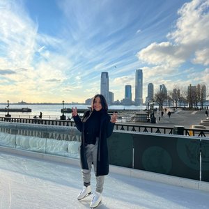 THE STANDARD ICE RINK - 10 Photos - Skating Rinks - 848 Washington St ...