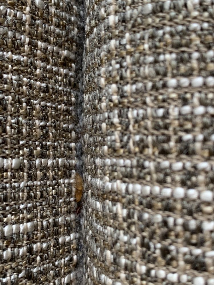 BOSTON MARRIOTT NEWTON - 100 Photos & 132 Reviews - Hotels - 2345 ...