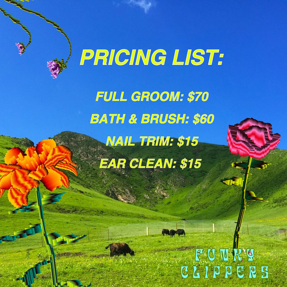 FUNKY CLIPPERS - Updated January 2025 - Request a Quote - 1643 Woodbine ...