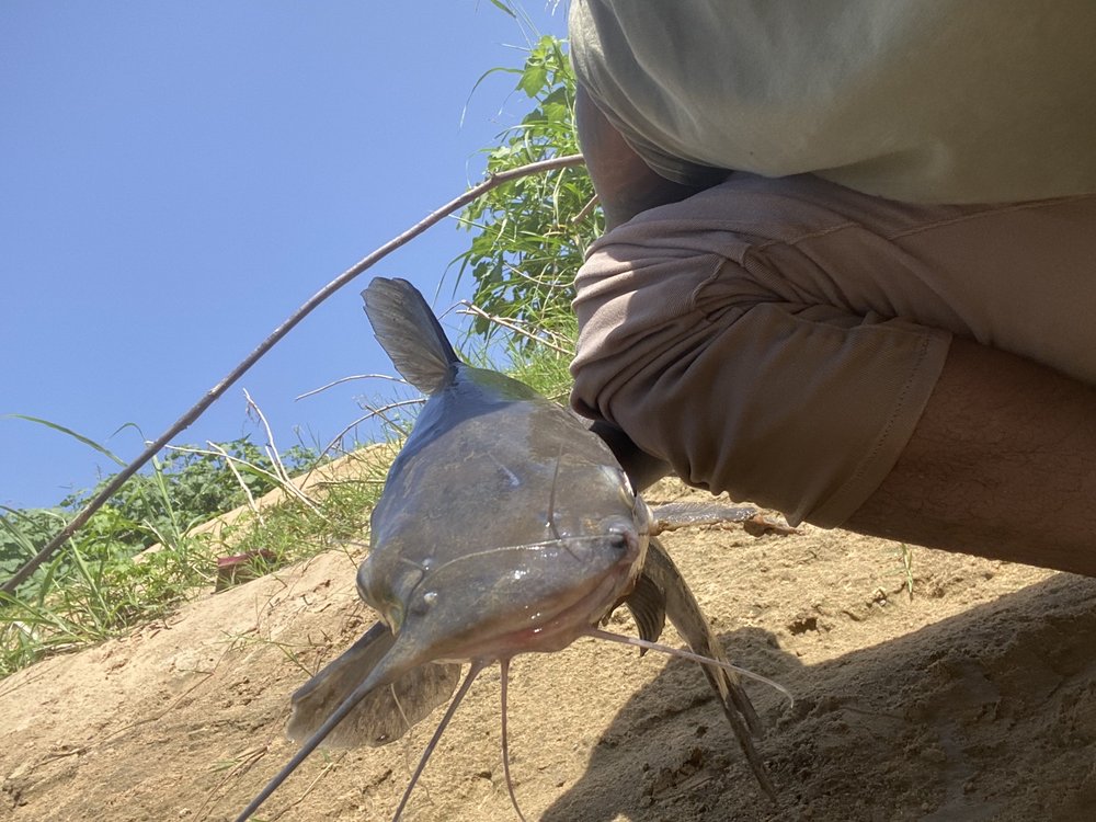 RUNNING BEAR PARK - Updated July 2025 - 2601 S Story Rd, Irving, Texas ...