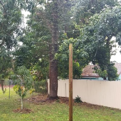 BIG RON’S TREE SERVICE - Updated December 2025 - 35 Reviews - 16221 SW ...