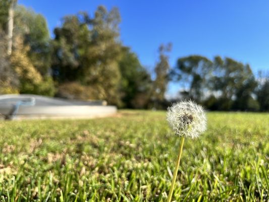 SHINNYO-EN USA - Updated January 2026 - 36 Photos - 18111 Bastanchury ...