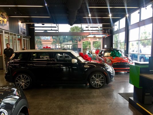 TOM BUSH MINI - Updated November 2025 - 33 Photos & 72 Reviews - 9881 ...