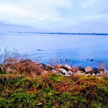 BAY FARM ISLAND SHORELINE TRAIL - Updated May 2026 - 118 Photos & 20 ...