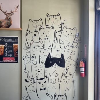 TAPIOCA GO - Updated June 2025 - 73 Photos & 19 Reviews - 4000 Virginia ...