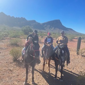 TUCSON MOUNTAIN STABLES - 35 Photos & 23 Reviews - Tucson, Arizona ...