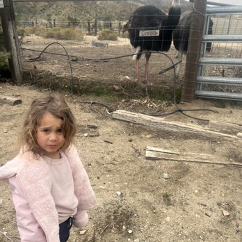 QUAIL RUN RANCH - Updated June 2025 - 129 Photos & 49 Reviews - 44380 ...