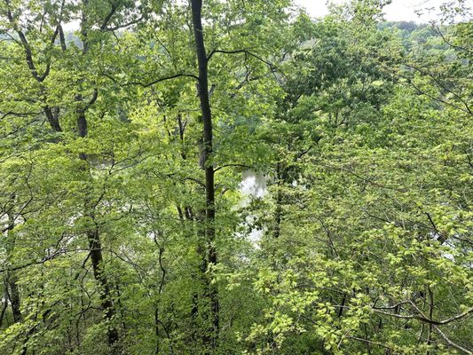 IGNATIUS HOUSE JESUIT RETREAT CENTER - Updated December 2025 - 17 ...