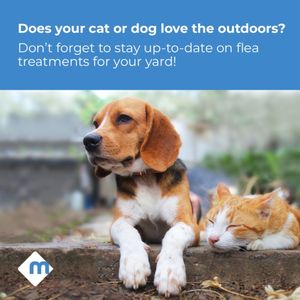 AZTEC ORGANIC PEST SERVICE - Updated January 2025 - 152 Reviews ...