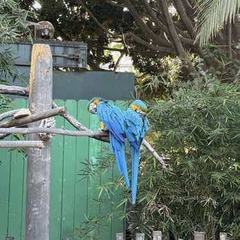 SANTA ANA ZOO - Updated March 2025 - 1486 Photos & 735 Reviews - 1801 E ...