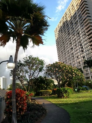 KUKUI PLAZA - DIAMOND HEAD TOWER - Updated June 2026 - 16 Photos - 55 S ...