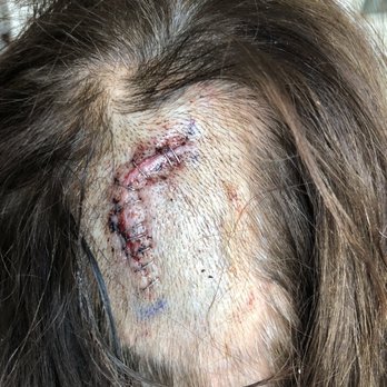 TOP 10 BEST Joey Gee in Los Angeles, CA - Updated 2025 - Yelp