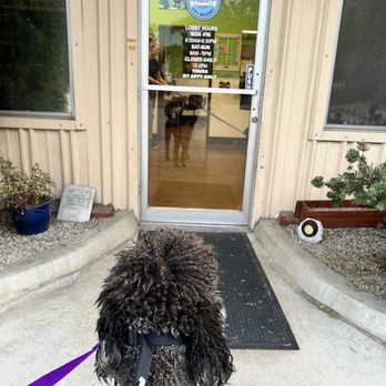 RUFF HOUSE PET RESORT - Updated September 2025 - 231 Photos & 212 ...