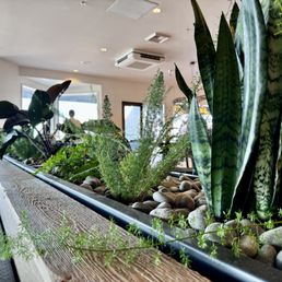 WOVEN SEAFOOD & CHOPHOUSE - Updated August 2025 - 620 Photos & 295 ...