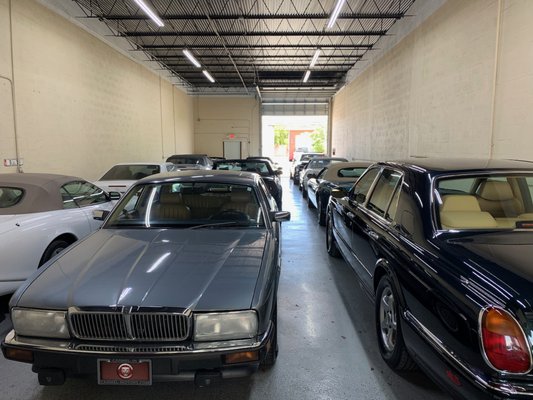 Florida Car Collection - Updated May 2026 - 21 Photos & 20 Reviews ...