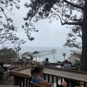 PINPOINT CAFE | 113 Photos & 86 Reviews | 8755 Biological Grade, San ...