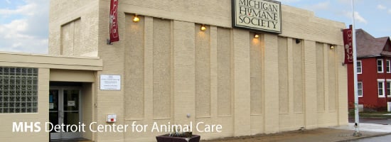 MICHIGAN HUMANE SOCIETY - Updated December 2025 - 31 Reviews - 7887 ...
