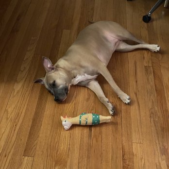 MENARDS - Updated October 2024 - 75 Photos & 72 Reviews - 715 Fort Hill ...