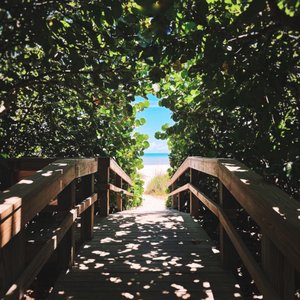 ROBERT P MURKSHE MEMORIAL PARK - 15 Photos - 1600 S Atlantic Ave, Cocoa ...