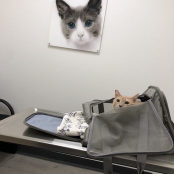 SLATON VETERINARY HOSPITAL - Updated April 2025 - 95 Photos & 161 ...