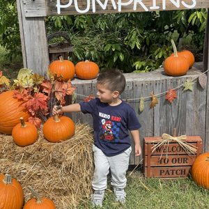 THE LITTLE FARM - 154 Photos & 59 Reviews - 13401 SW 224th St, Miami ...