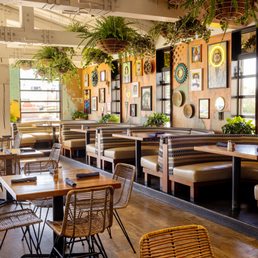 BLANCO COCINA + CANTINA - Updated March 2025 - 1160 Photos & 1472 ...