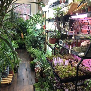 CITY GROWS - Updated December 2025 - 54 Photos & 30 Reviews - 5208 ...