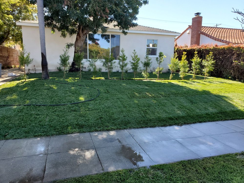 GREEN IMAGE LANDSCAPING - 12 Reviews - Landscaping - Manhattan Beach ...