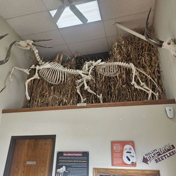 SKELETONS MUSEUM OF OSTEOLOGY - Updated October 2025 - 552 Photos & 165 ...