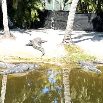 NAPLES ZOO - Updated July 2025 - 1038 Photos & 324 Reviews - 1590 ...