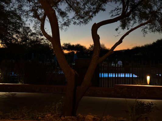 KO’SIN - Updated May 2024 - 177 Photos & 121 Reviews - 5594 W Wild ...