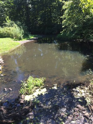 TOP COTTAGE - Updated May 2025 - 25 Photos - Hyde Park, New York ...