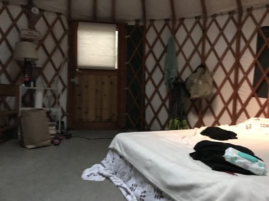 SHAWME-CROWELL STATE FOREST - Updated September 2025 - 31 Photos & 25 ...