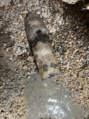 Peterman Brothers - Updated December 2025 - 62 Photos - 180 Reviews ...