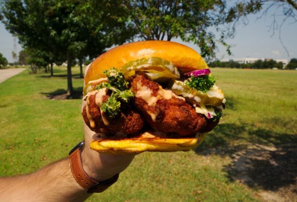 CHRONIC FRIES - Updated May 2025 - 21 Photos & 15 Reviews - 21788 Katy ...