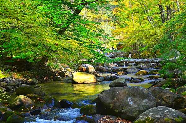 7 LAKES DRIVE - Updated January 2026 - 46 Photos & 20 Reviews ...