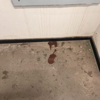 X DENVER - Updated September 2025 - 95 Photos & 65 Reviews - 3100 N ...