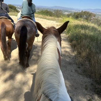 CIRCLE K RIDING STABLES - Updated December 2024 - 192 Photos & 276 ...