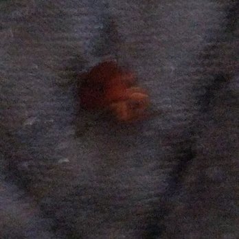 ROSSLYN LOFTS - Updated December 2025 - 166 Photos & 56 Reviews - 451 S ...