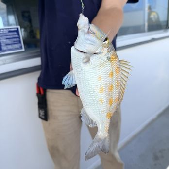 QUEEN FLEET DEEP SEA FISHING - Updated June 2026 - 132 Photos & 135 ...
