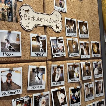 SPITFIRE CHEESE AND SUNDRY - Updated July 2025 - 31 Photos & 26 Reviews ...