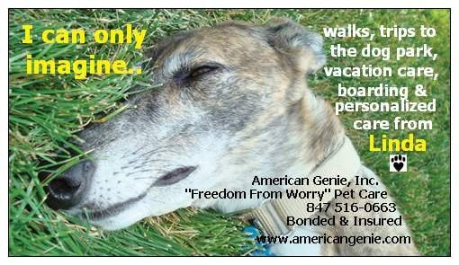 AMERICAN GENIE, INC - Updated December 2024 - Island Lake, Illinois ...