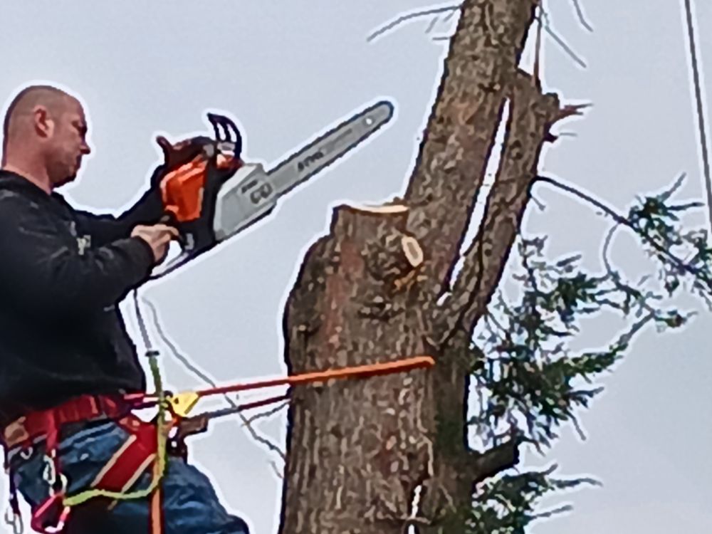 NWFW-TREE SERVICE - Updated June 2026 - Sequim, Washington - Tree ...