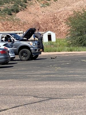 STEVE COURY FORD - Updated December 2025 - 49 Reviews - 4397 E Hwy 260 ...