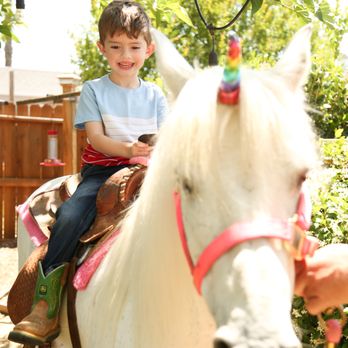 BARNYARD BUDDIES MOBILE PETTING ZOO AND PONY RIDES - Updated January 2026 - 75 Photos ...